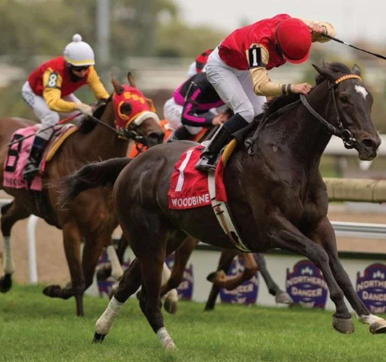 HORSE RACING-Husbands, Ramsammy, and Dos Ramos among finalists for Hall ...