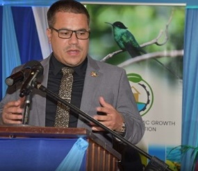 JAMAICA-Former government minister files lawsuit against opposition ...